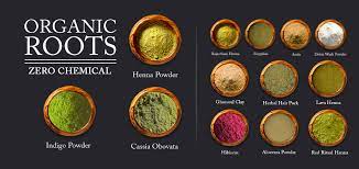 Here's How Organic Hair Colors Make You Look More Natural – Organic Roots