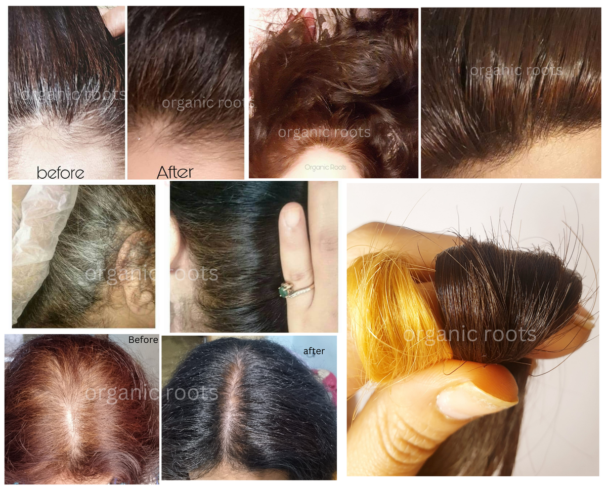 Indigo Powder in Pakistan | Premium Quality | Organic Roots